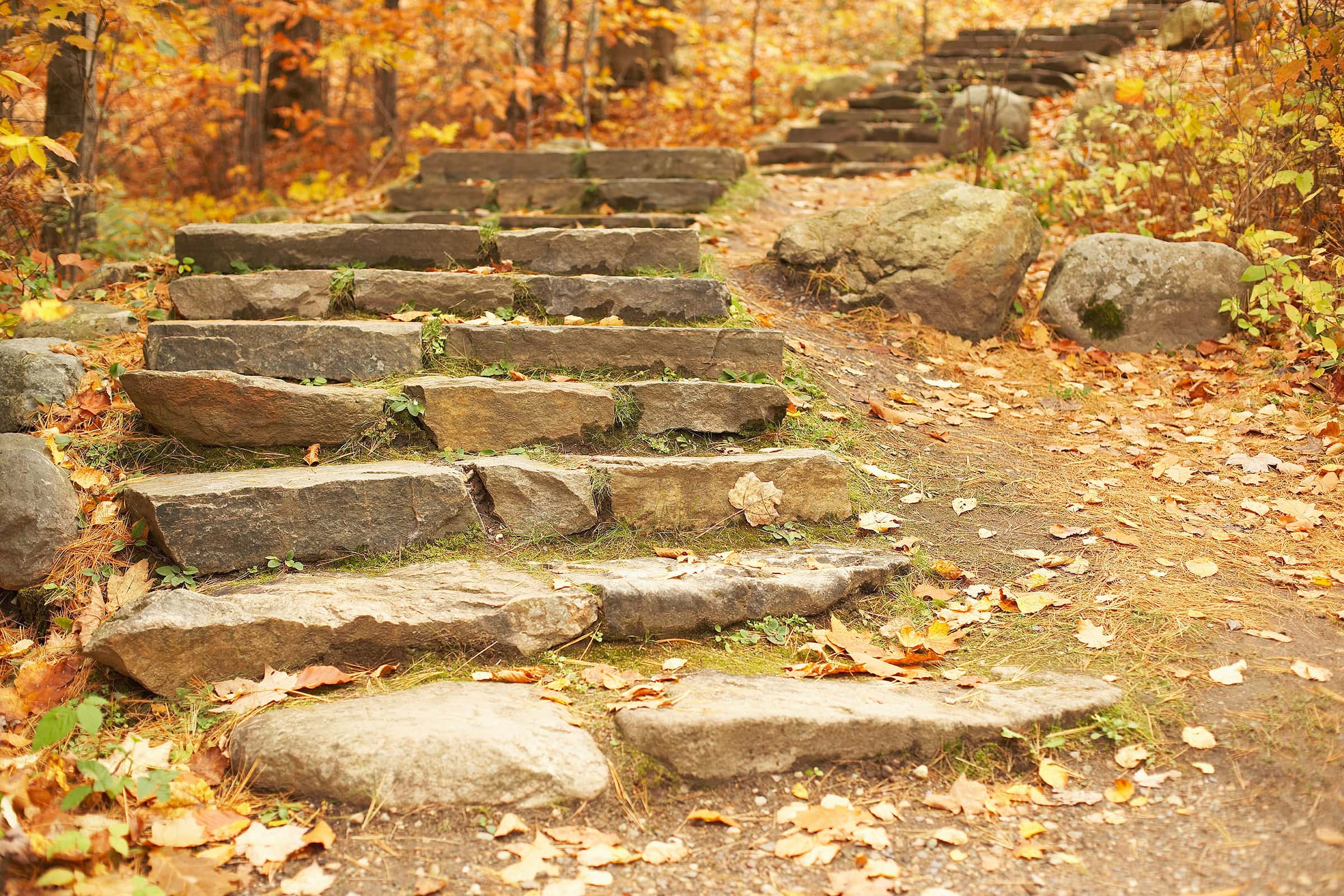 Small Steps That Lead to Great Understanding (January 29)